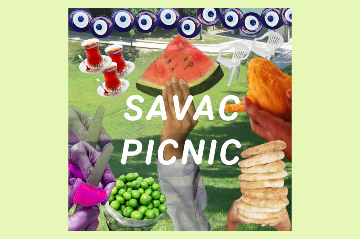 SAVAC Community Picnic 2024 | SAVAC